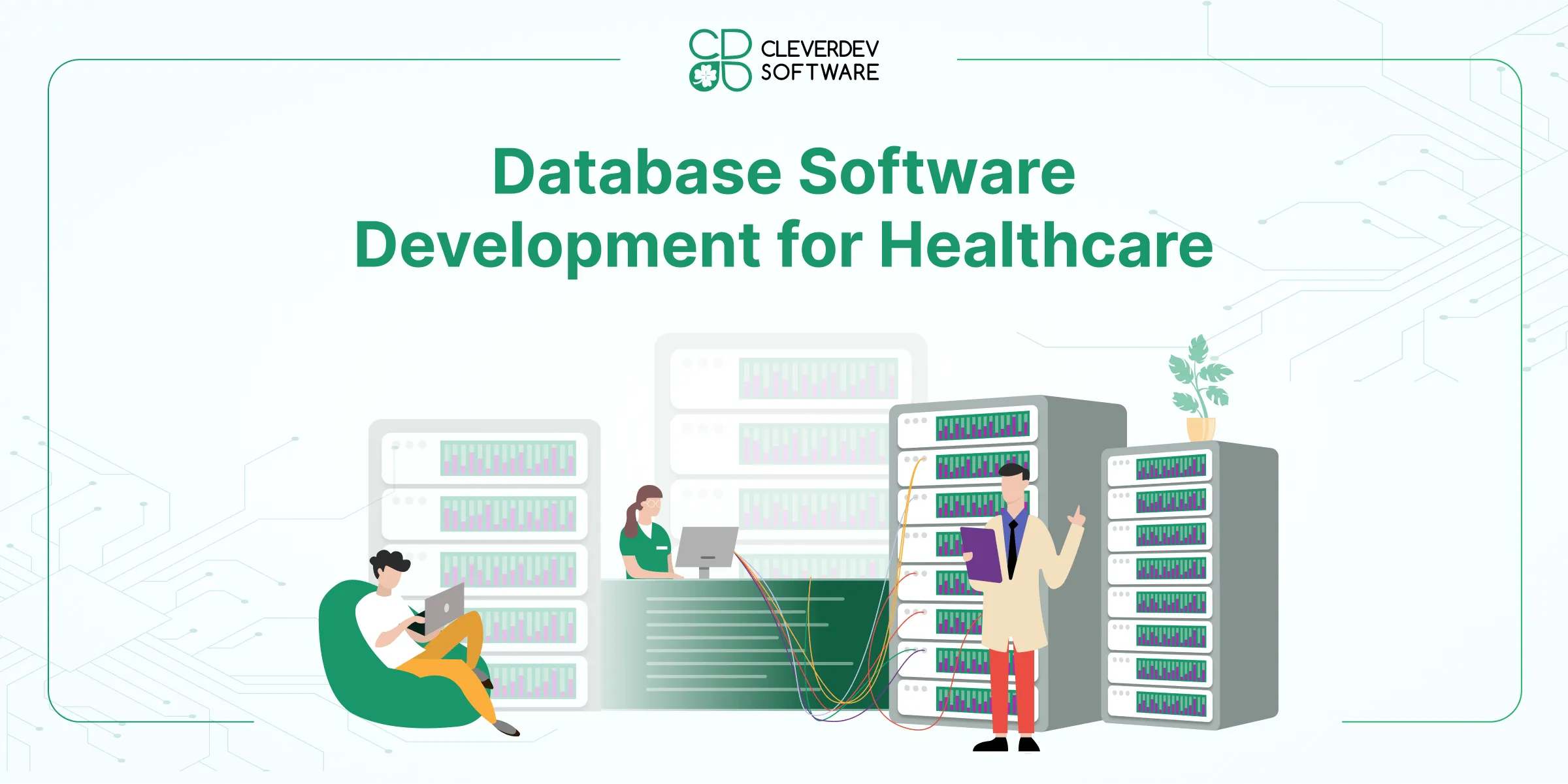 Custom Database Software Development For Healthcare Cleverdev Software 3842